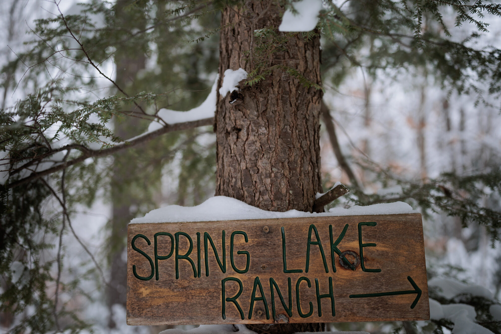 New-Old Developments in Psychiatry | Spring Lake Ranch